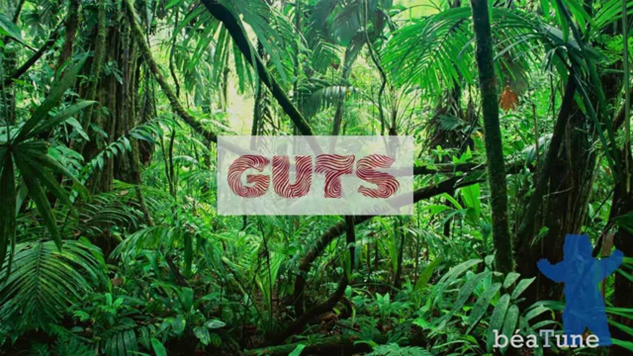 Jungle Space - Guts HD - YouTube
