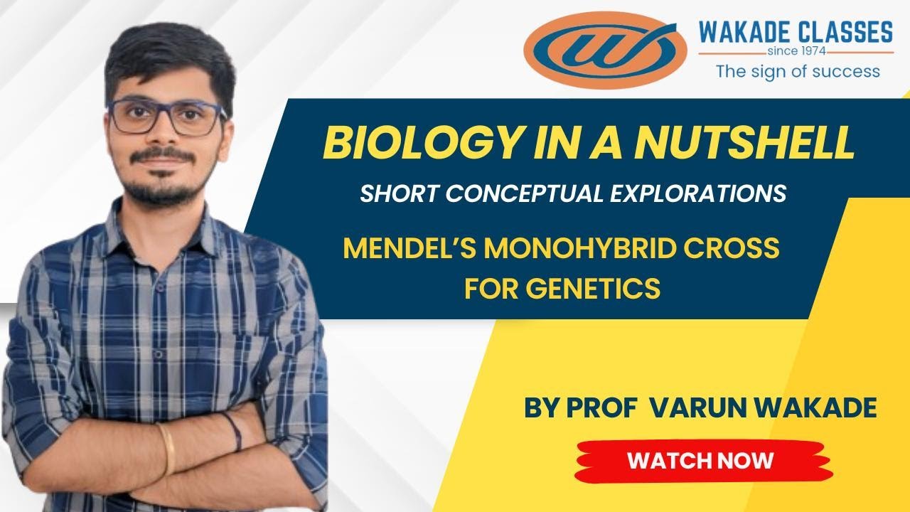 Mendel's Monohybrid cross in Genetics - YouTube