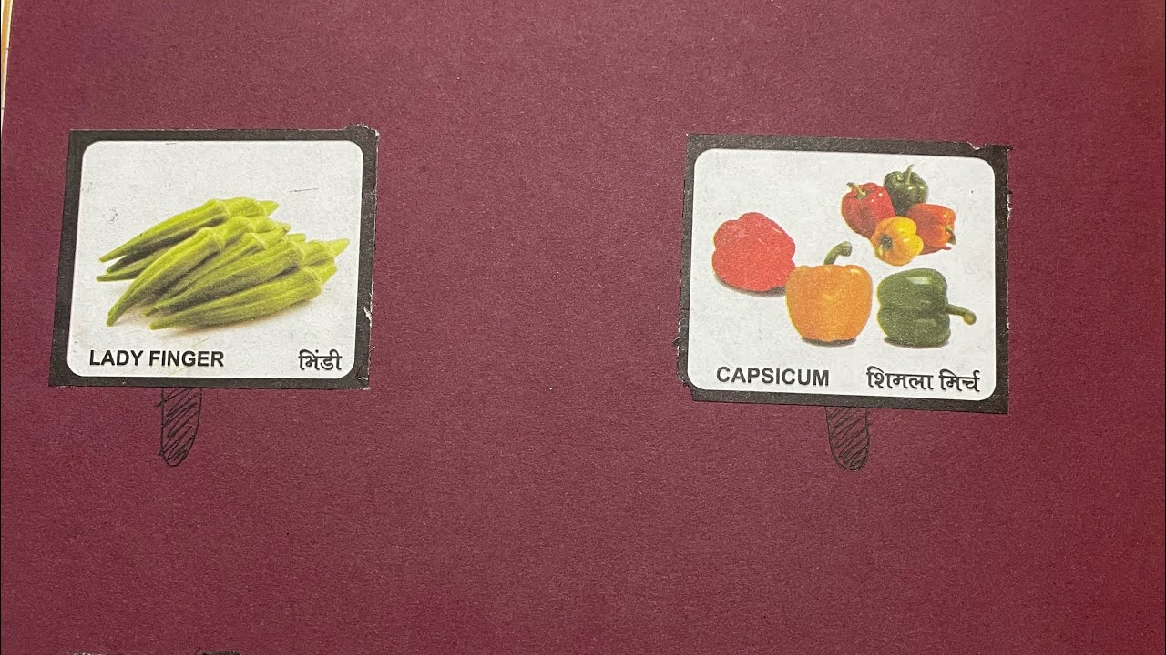 How to make a Lesson plan on the topic vegetable. - YouTube