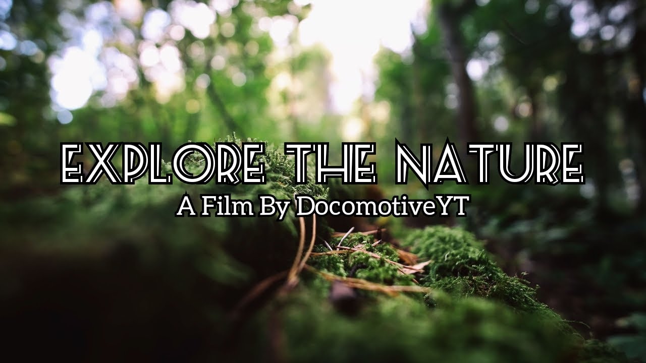 EXPLORE THE NATURE - A Cinematic Film / Naure B roll / 4k Cinematic ...