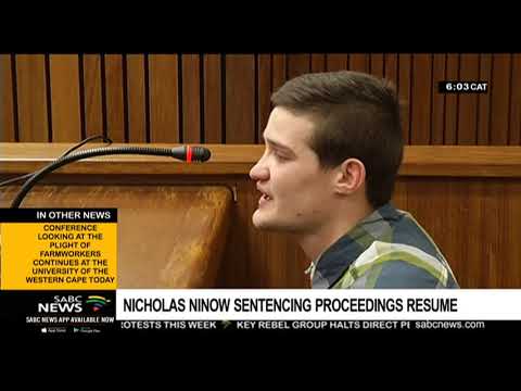 Nicholas Ninow sentencing proceedings resume - YouTube