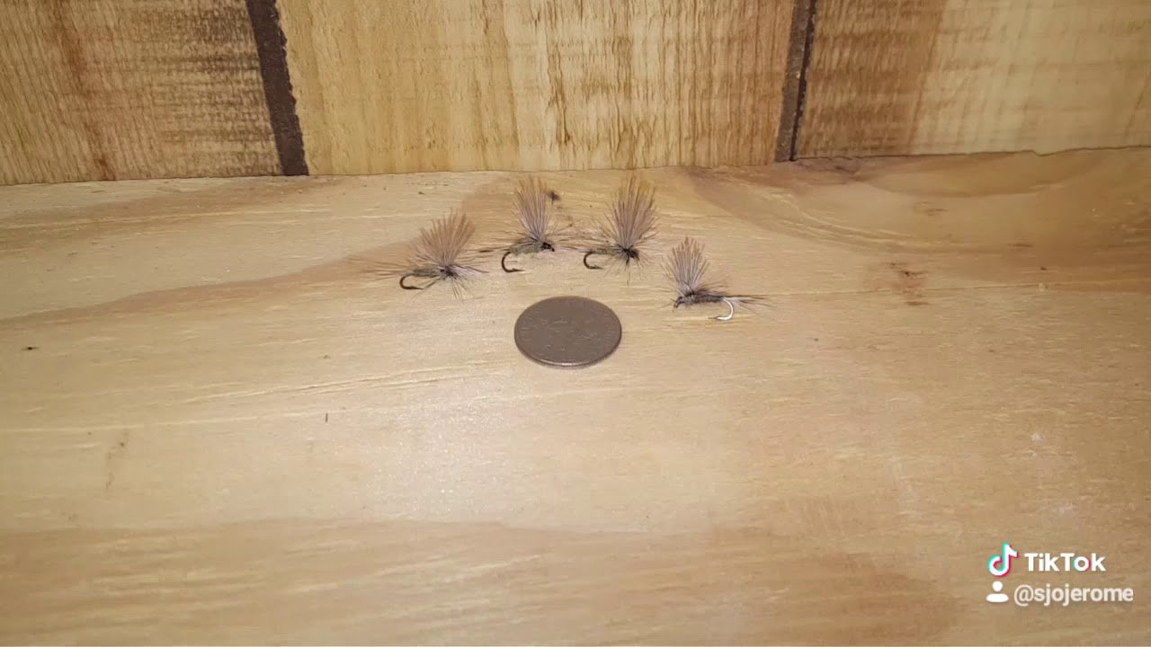 Michigan Mayfly's - YouTube