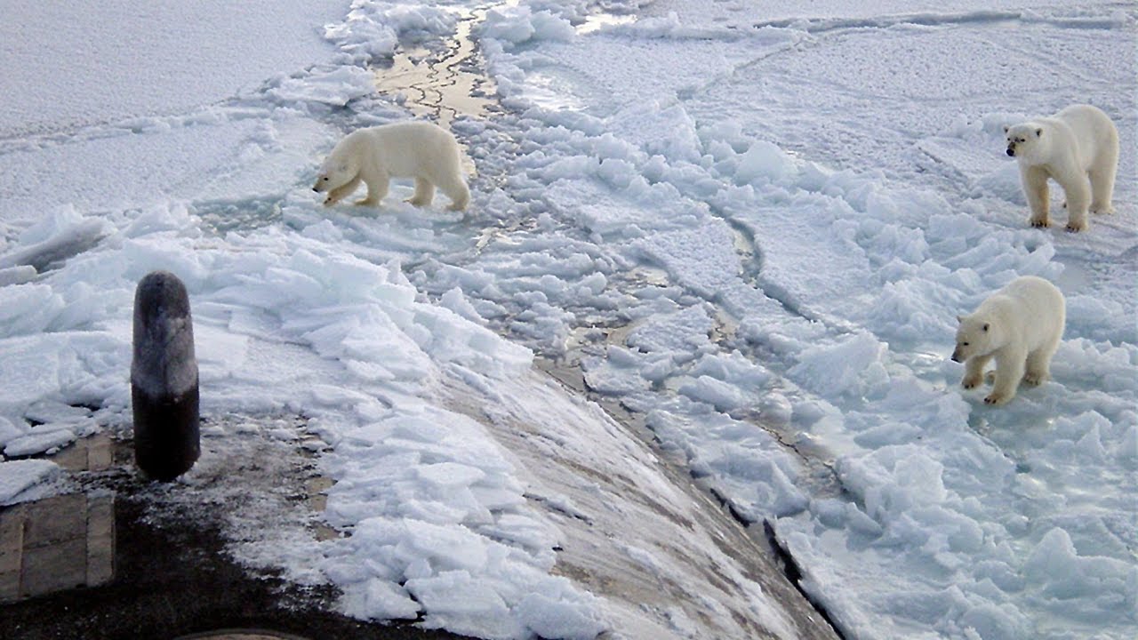 "Cold Science: The Cold War and Environmental Science in the Canadian ...