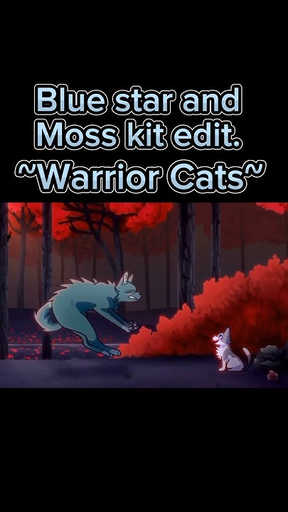 Bluestar and Mosskit edit. ~Warrior Cats~ #warriorcatsedit #bluestar - YouTube