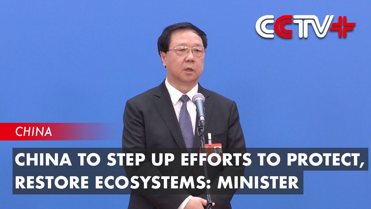 China to Step Up Efforts to Protect, Restore Ecosystems: Minister - YouTube