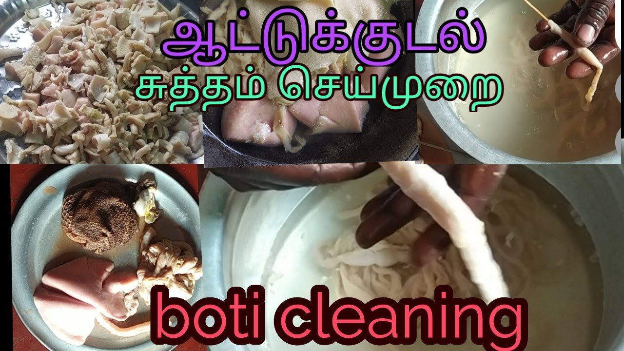 ஆட்டுக்குடல் சுத்தம் செய்வது எப்படி/போட்டி சுத்தம் செய்வது எப்படி/how ...
