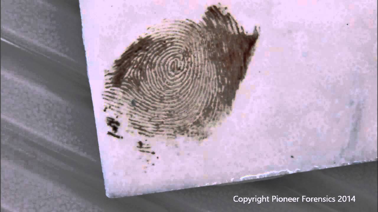 Amido Black 10B Process for Bloody Fingerprints - YouTube