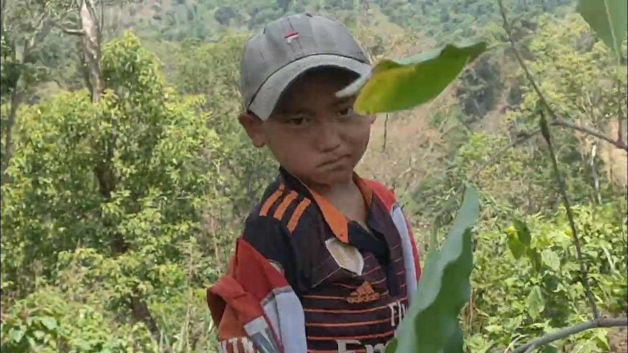 peb mus cog pob kws pem roob de txiv noj nawb - YouTube