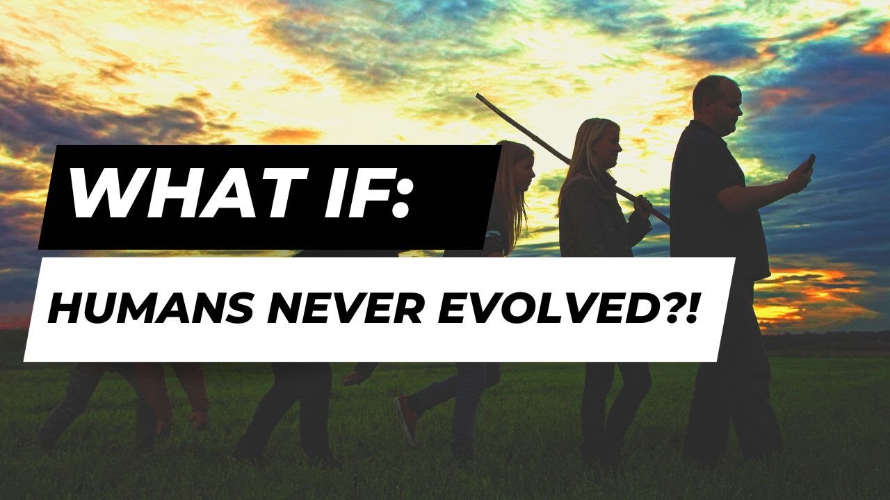 What if humans NEVER evolved? - YouTube
