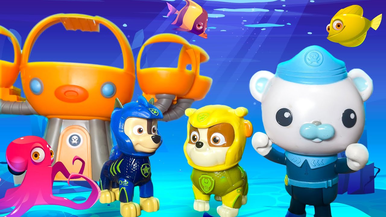 Octonauts Teach Paw Patrol Sea Patrol About Ocean Animals - YouTube
