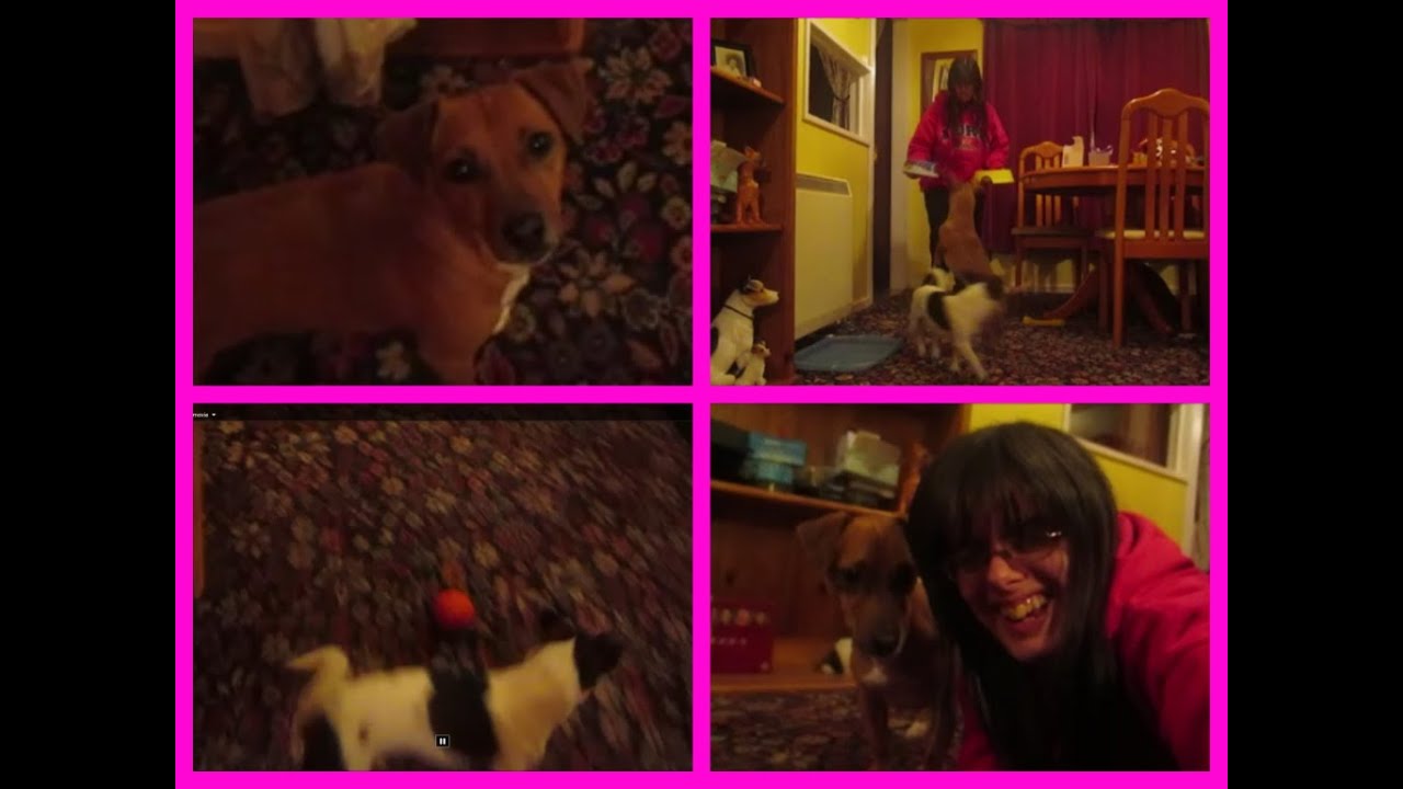 FUN AND GAMES! - YouTube