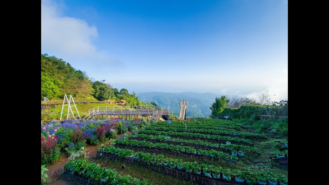 치앙마이 한달살기 - 먼쨈여행, Wat Pong Yaeng Nok, Samoeng Viewpoint, 코끼리 카페, Wat ...