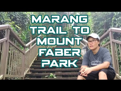 Marang Trail To Mount Faber Park Hiking Singapore - YouTube
