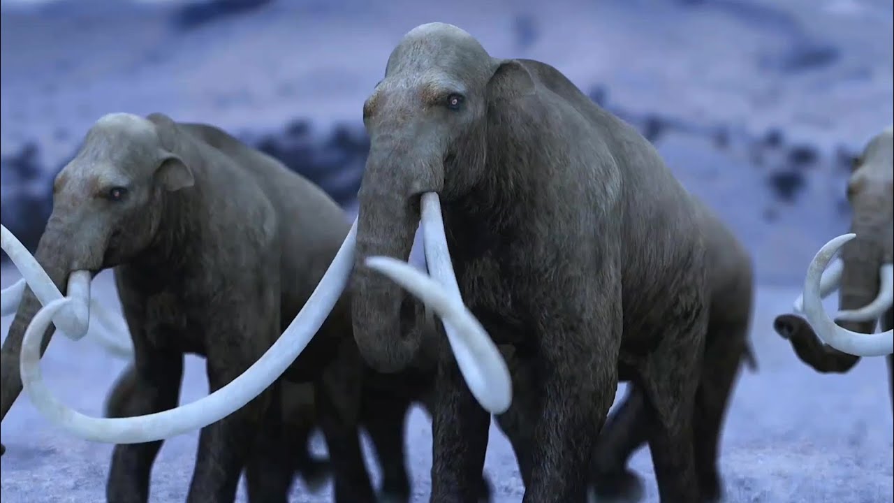 Age of Big Cats [2018] - Columbian Mammoth Screen Time - YouTube