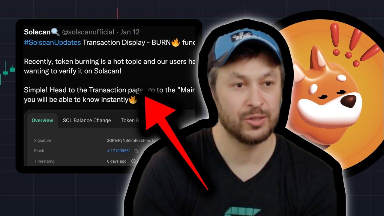 BONK Token Prices Are Pumping Right Now - Devs Launch New Utility - YouTube