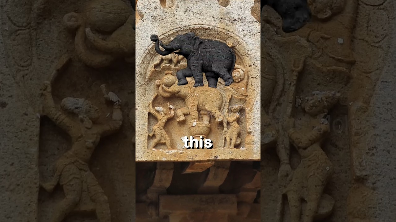 How Indians Used Elephants?🐘 - YouTube