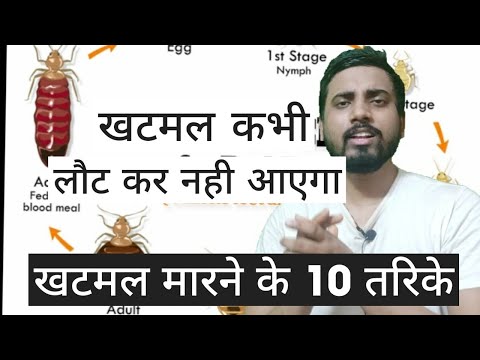 How to get rid of BedBugs | खटमल को मारने के 10 तरीके | Khatmal ko marne ka totka |