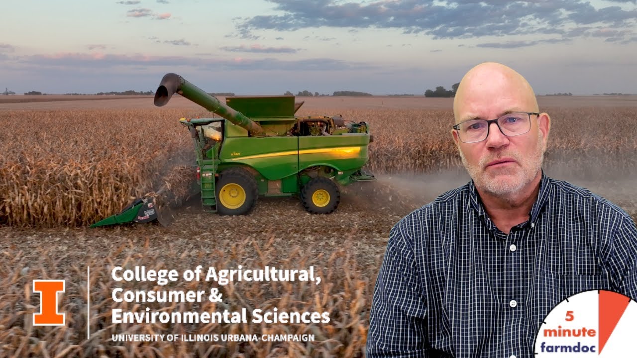 Declining Crop Prices and Costs: What Farmers Can Expect in 2024 - YouTube