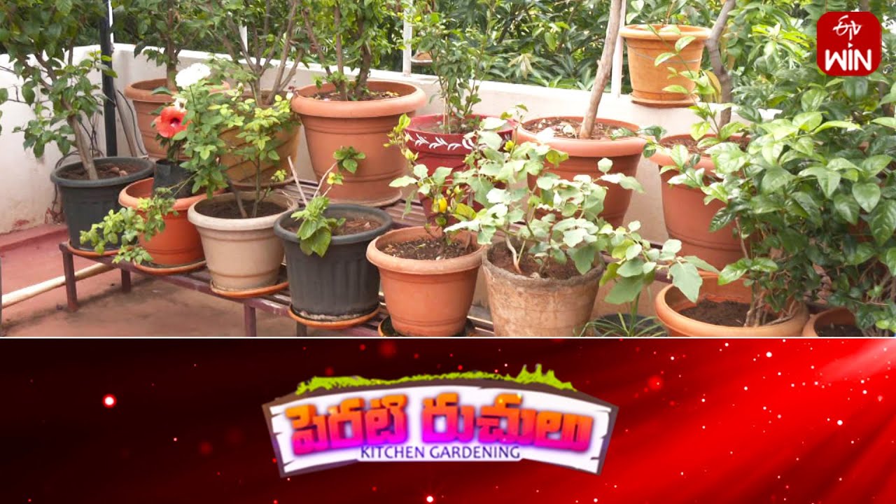 Perati Ruchulu | 4th July 2024 | Full Episode | ETV Abhiruchi - YouTube