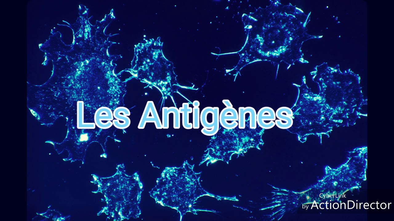 Immunologie ( les antigènes ) - YouTube