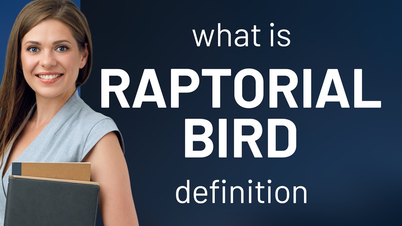 Raptorial bird | what is RAPTORIAL BIRD meaning - YouTube