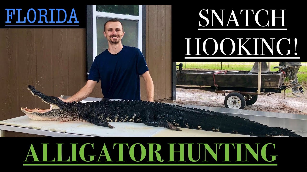 FLORIDA ALLIGATOR HUNTING! **SNATCH HOOK SUCCESS** - YouTube