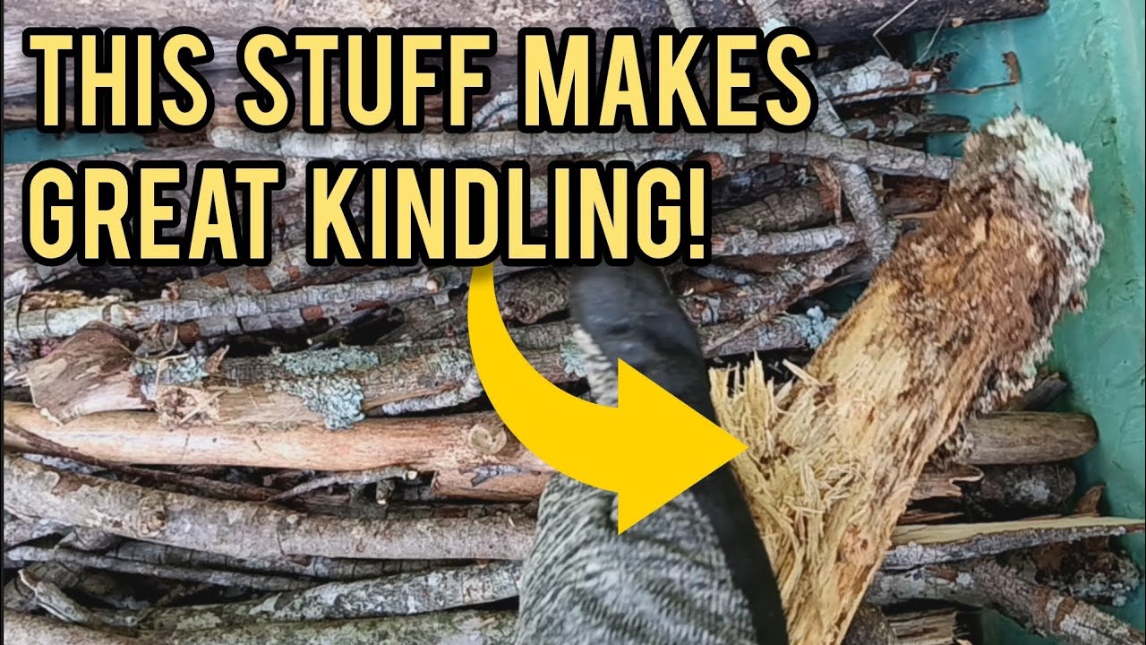 Collecting Kindling | Fried Puffball Mushrooms | My Land Feeds Me ...