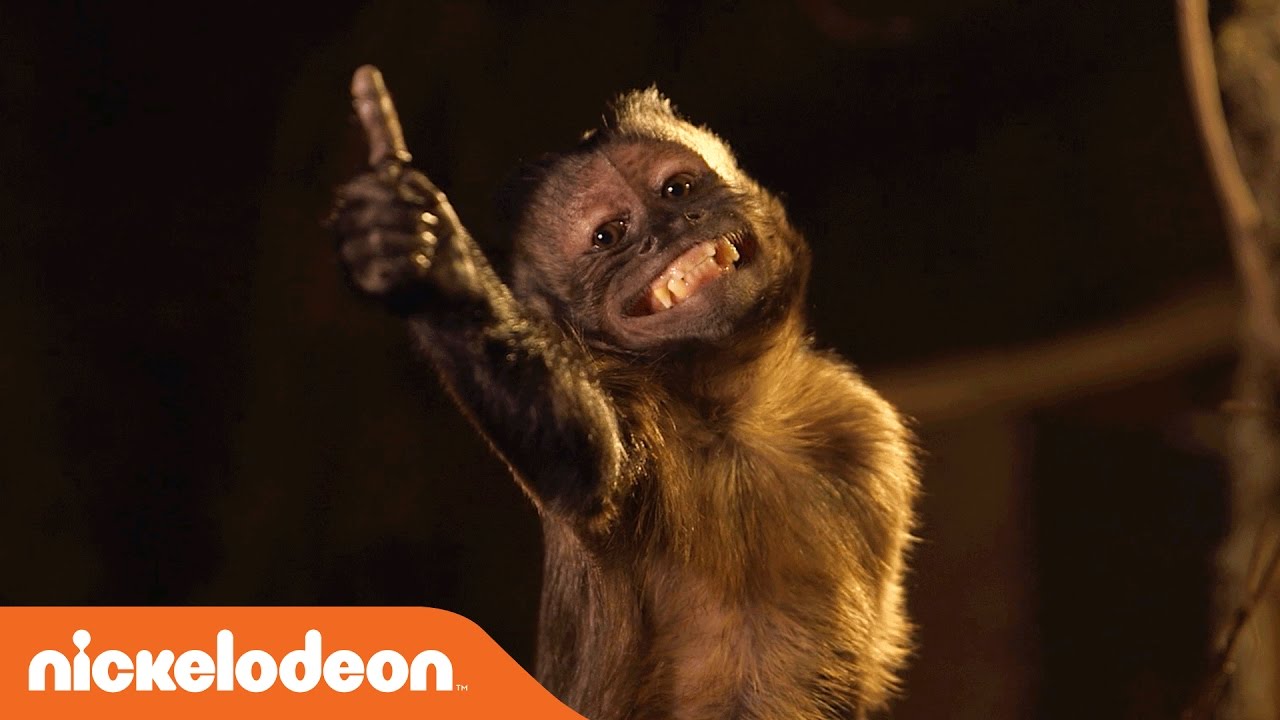 Legends of the Hidden Temple | BTS w/ Mikey the Monkey | Nick - YouTube