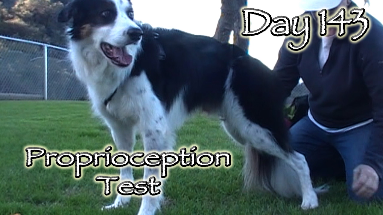 Day 143: Proprioception Test - YouTube
