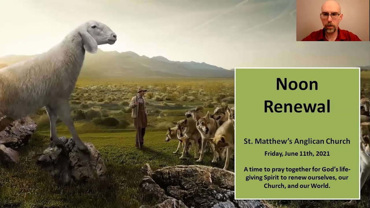 Sent as sheep amidst wolves - Noon Renewal - "Franciscan Friday" - June ...