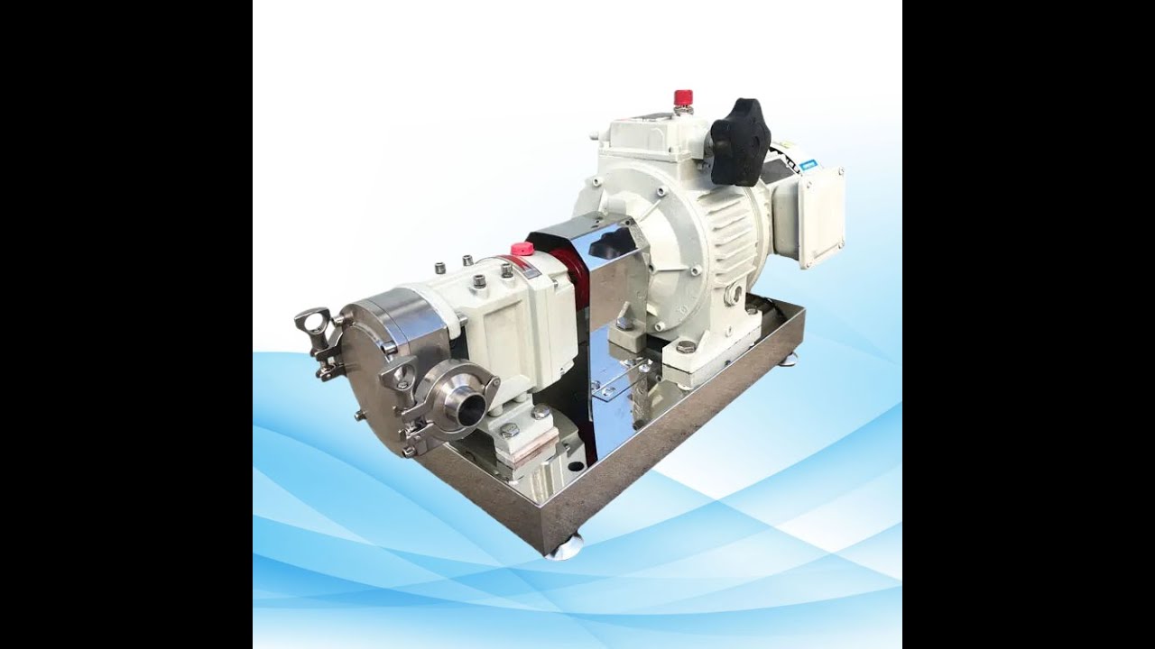 rotary lobe positive displacement pump#pump #rotarylobepump #lobepump ...