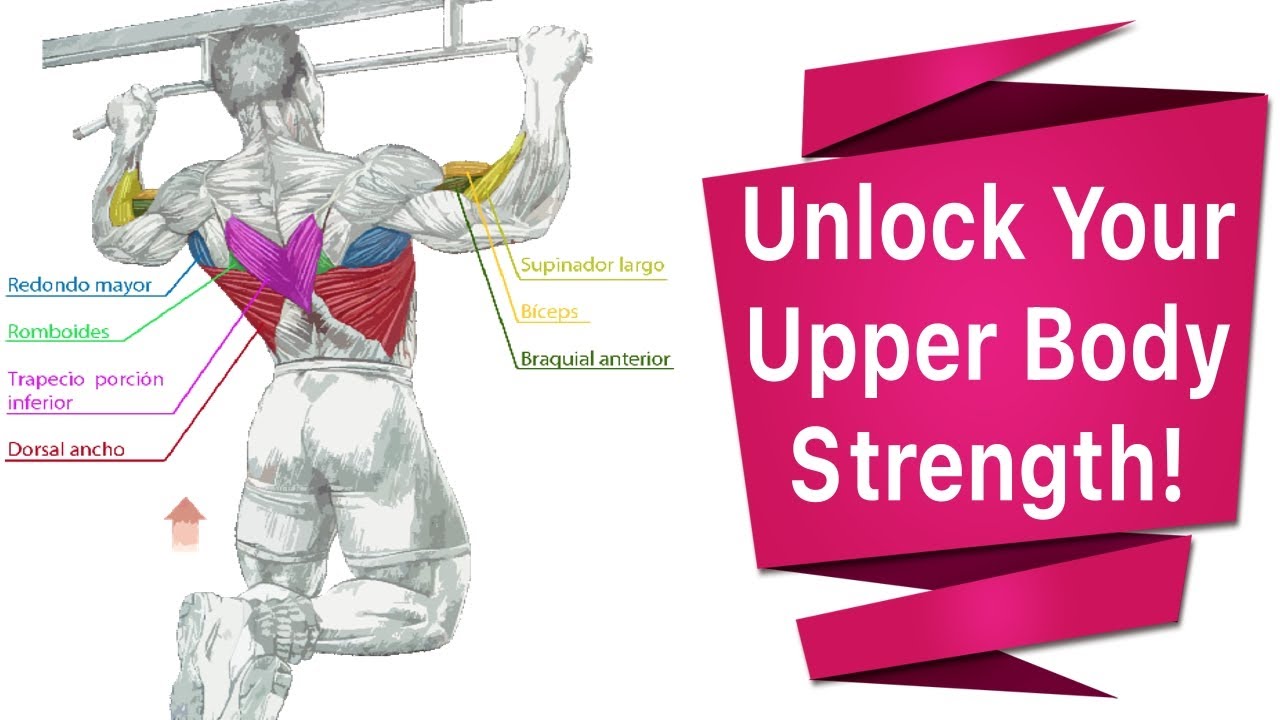 How to Improve Your Pull-Ups: Mastering Upper Body Strength - YouTube
