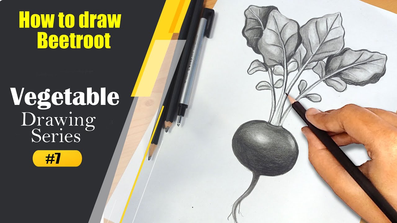 Online classes: How to draw beetroot/Vegetable drawing series#7 - YouTube
