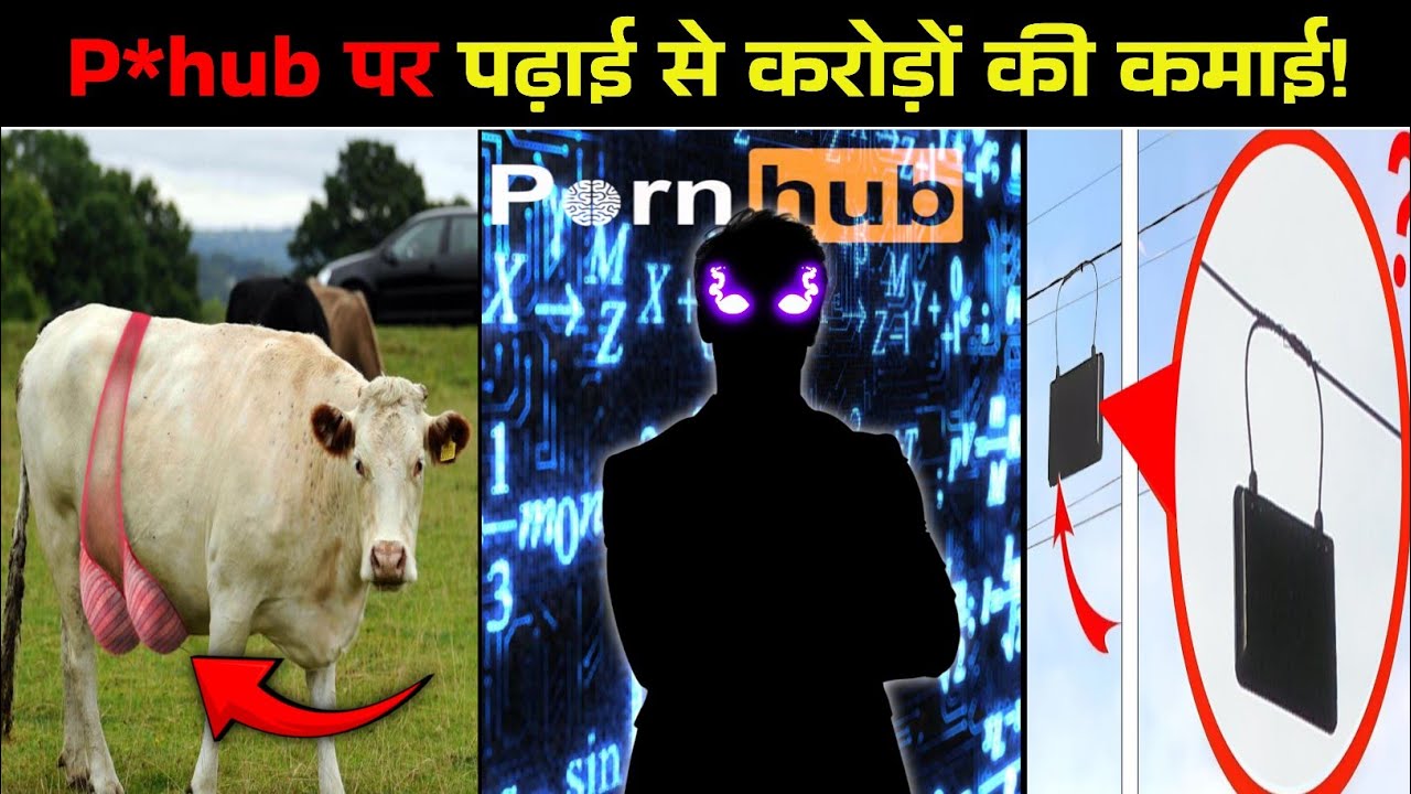 P***hub पर पढ़ाई? | दुनिया का सबसे खतरनाक जानवर कौन सा है? | Maths on ...