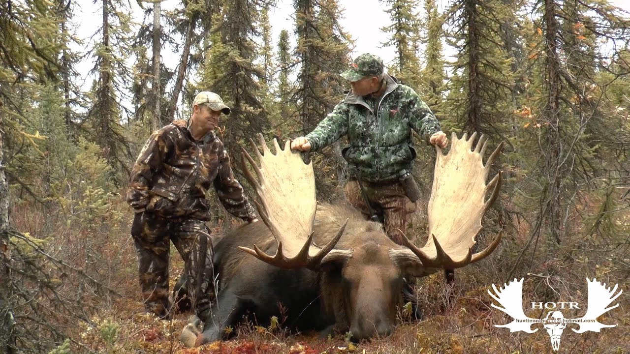 Macmillan Monsters Moose - YouTube