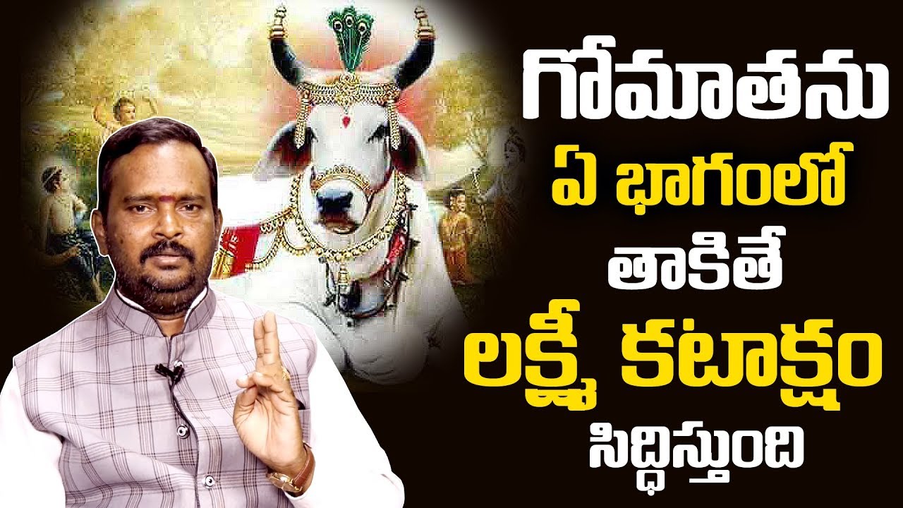 Gomatha Pooja: Acharya Anantha Krishna Swamy about Gomatha Pooja ...