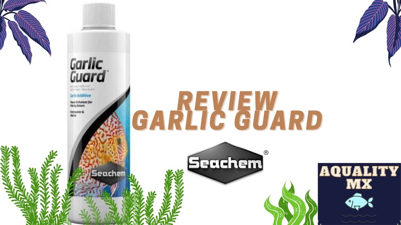 Review GARLIC GUARD SEACHEM - YouTube