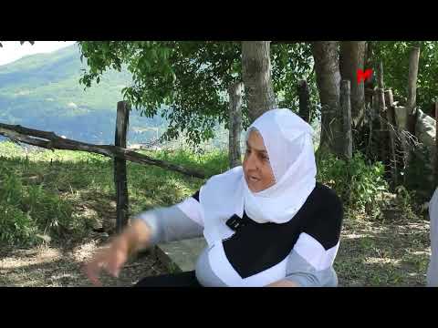 CAFRAN’DA ORMAN KESİMİ DEVAM EDİYOR