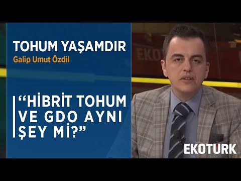 BUĞDAY GDO'LU MU? | Galip Umut Özdil | Prof. Dr. Seydi Ahmet Bağcı