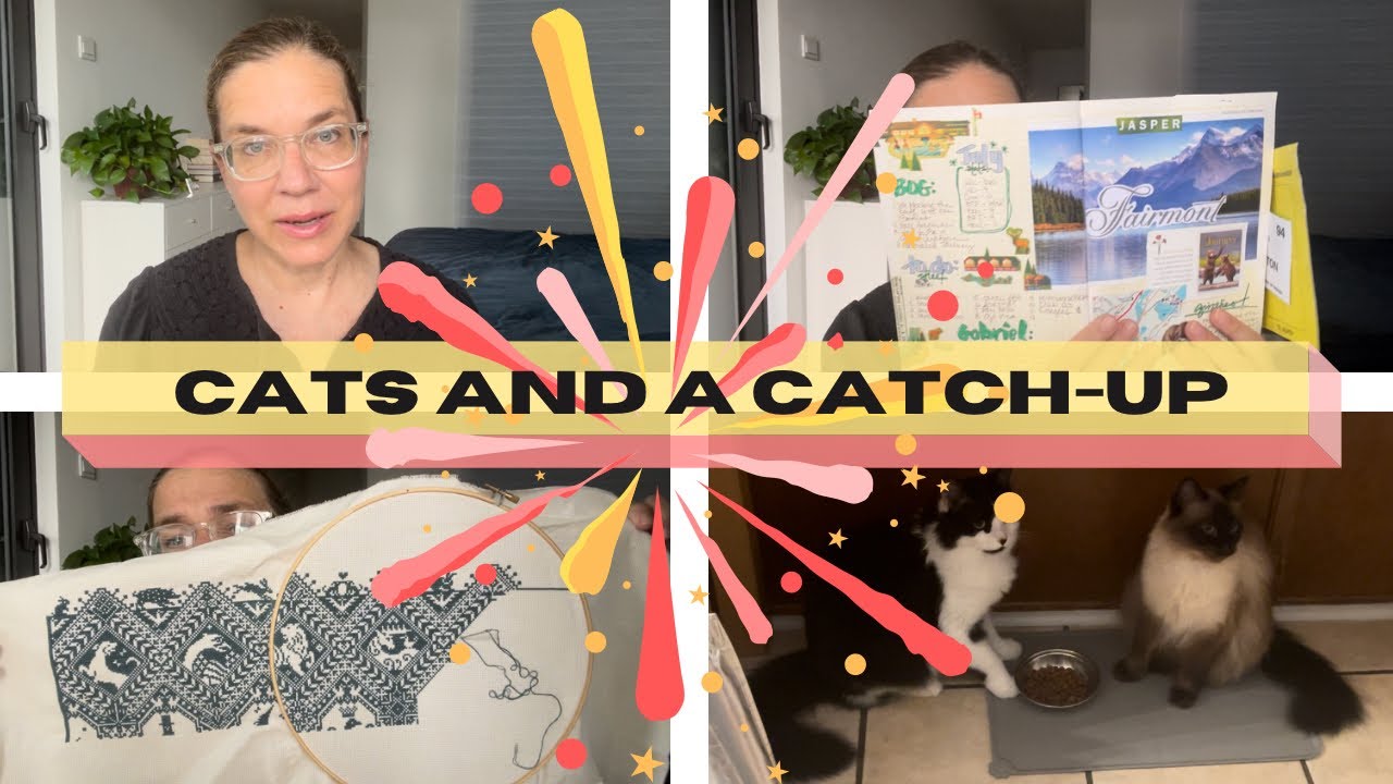 Cats and a Catch-up - YouTube