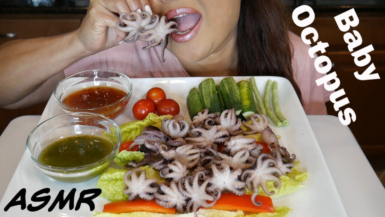 ASMR BABY OCTOPUS (CHEWY EATING SOUNDS) HUNGRYBEE ASMR - YouTube