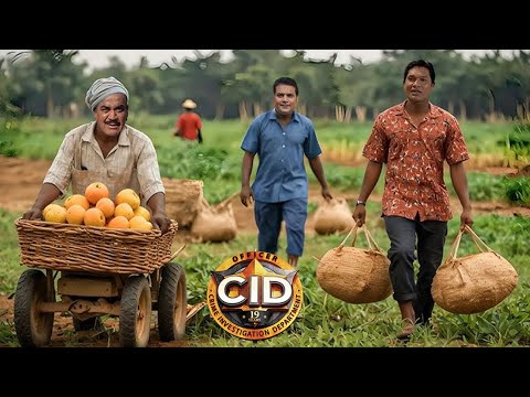 CID छोड़कर क्यों करनी पड़ी ACP, Abhijeet और Daya को खेती? | CID New Episodes 2025 | Crime Stories