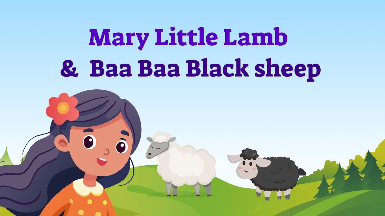 Mary Little Lamb & Baa Baa Black sheep song #kidslearning ...