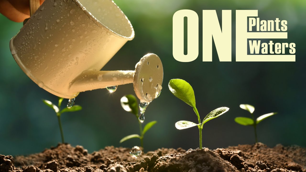 One plants, One waters - YouTube
