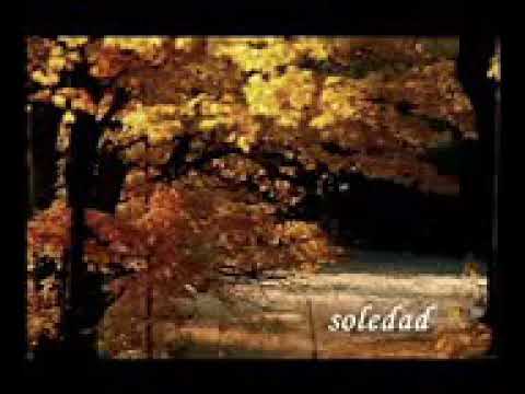 Soledad Song - YouTube
