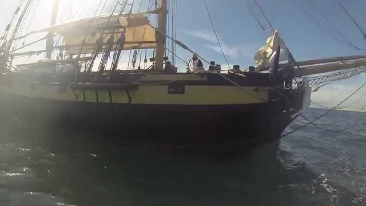 HMS Pickle a memorial to The Battle of Trafalgar and all lost published ...