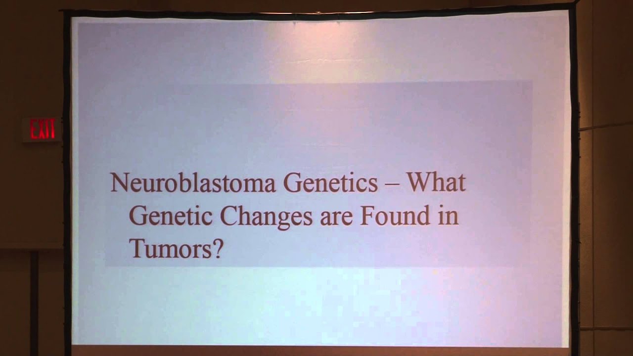 Dr. Navin Pinto CNCF Parent Conference 2014 - YouTube