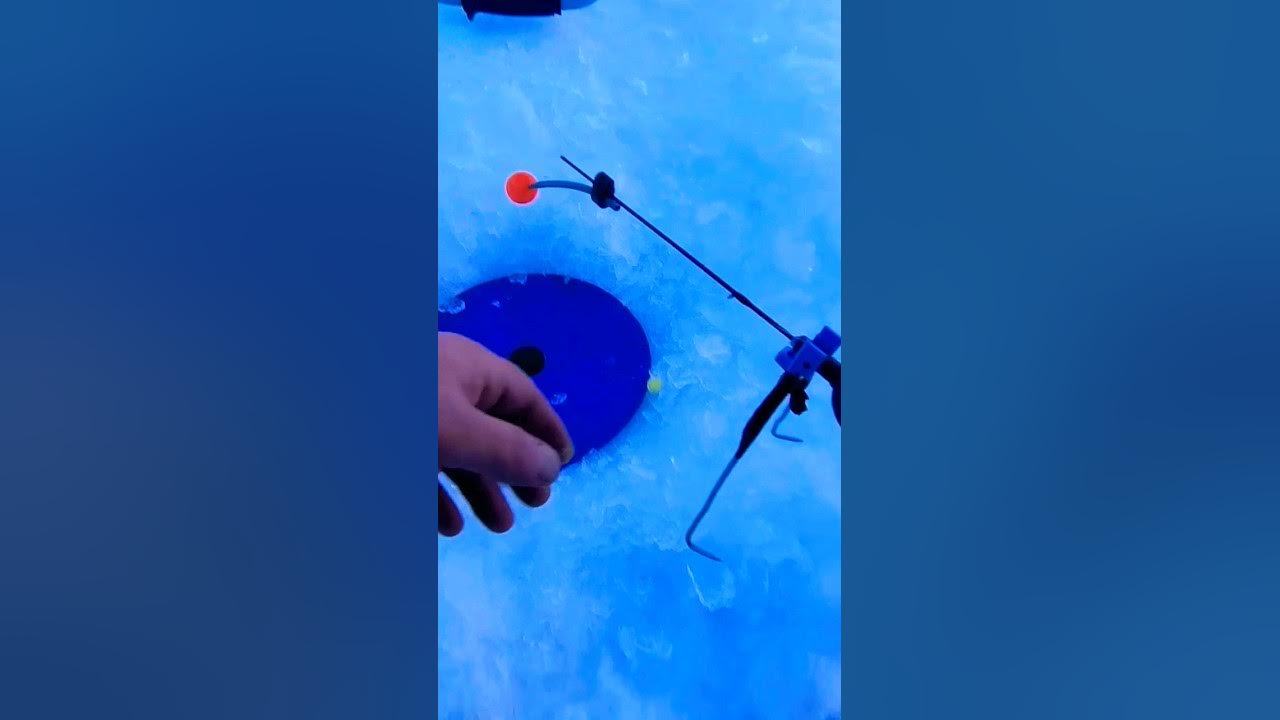 ФОРЕЛЬ НА ПАСТУ🎣💪 - YouTube