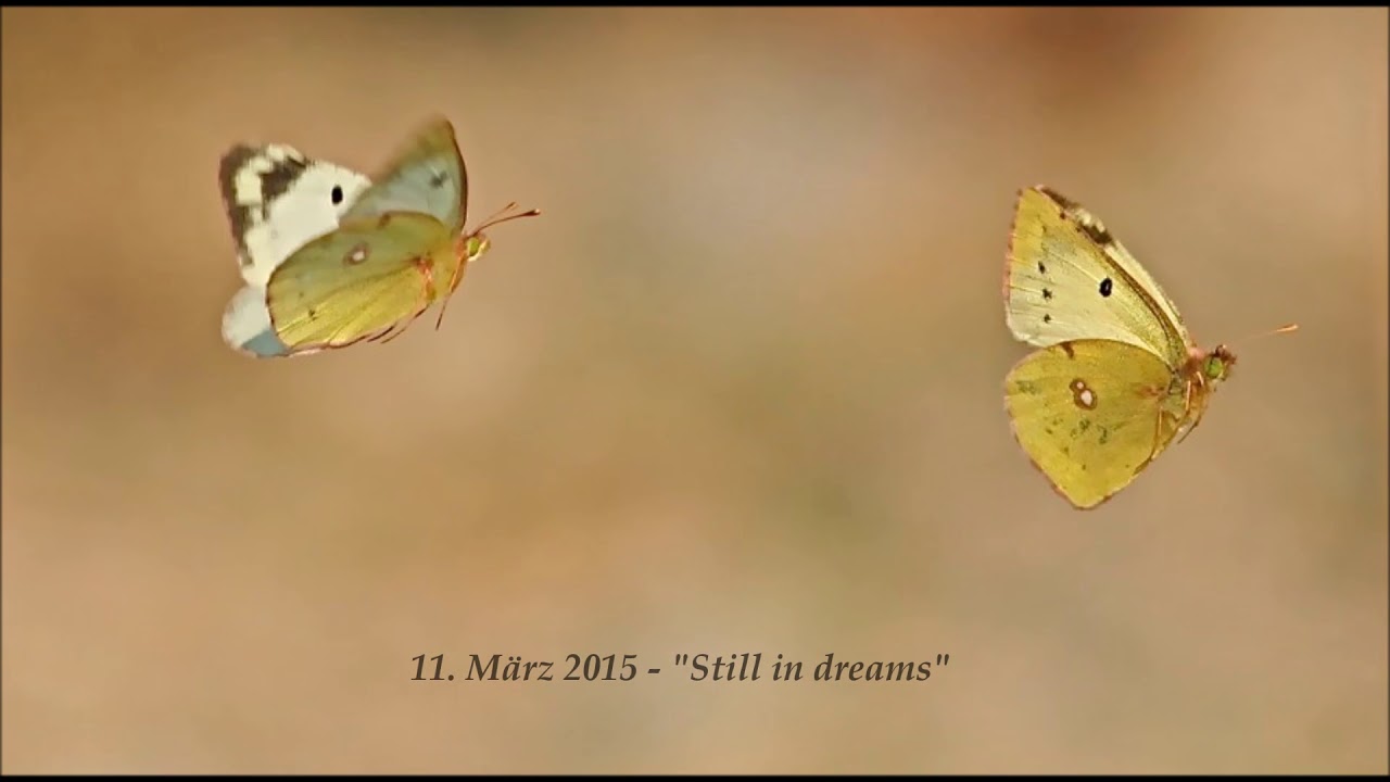 Ralph McTell - Still in dreams - 11. Mar. 2015 - YouTube Music