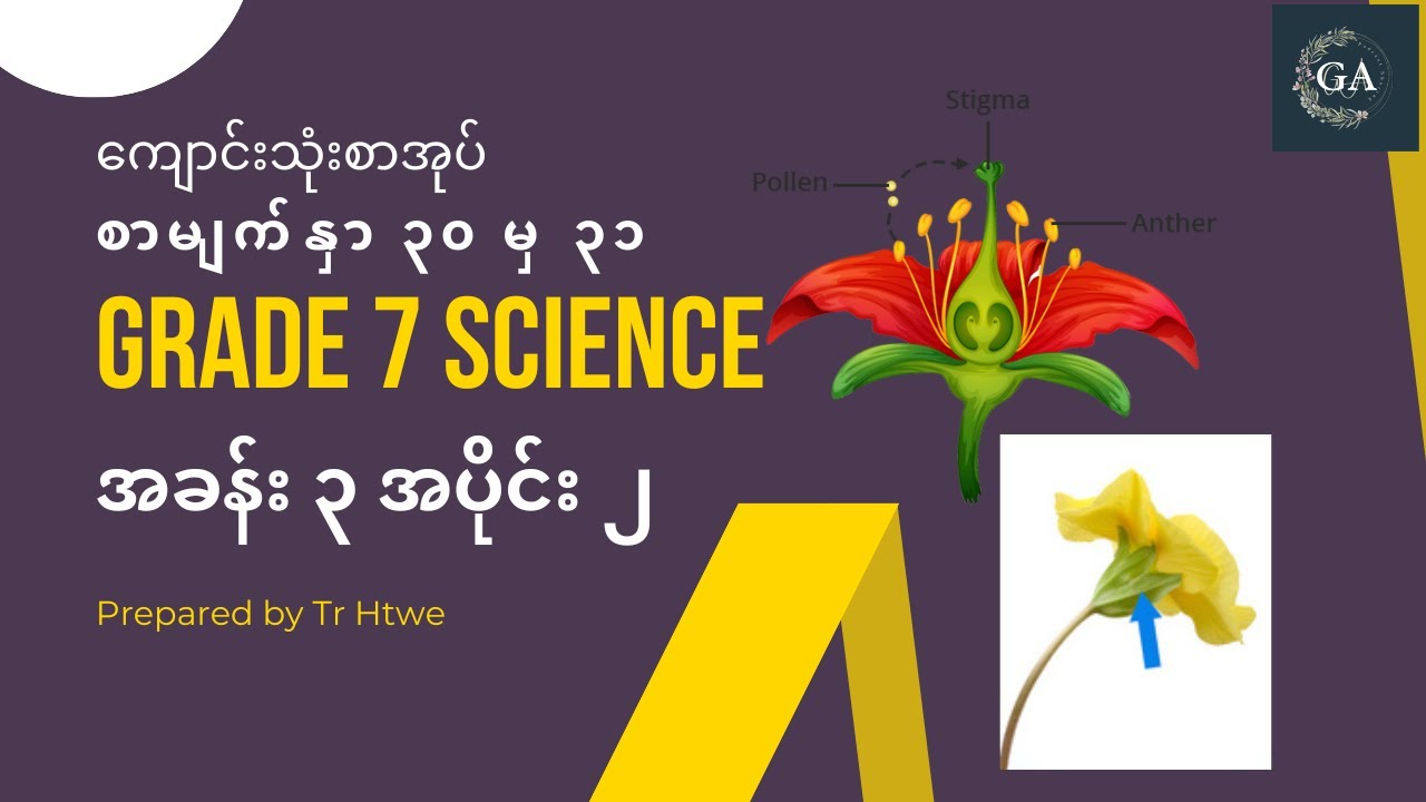 Grade 7 စနစ်သစ် သိပ္ပံ အခန်း ၃ အပိုင်း ၂ Youtube